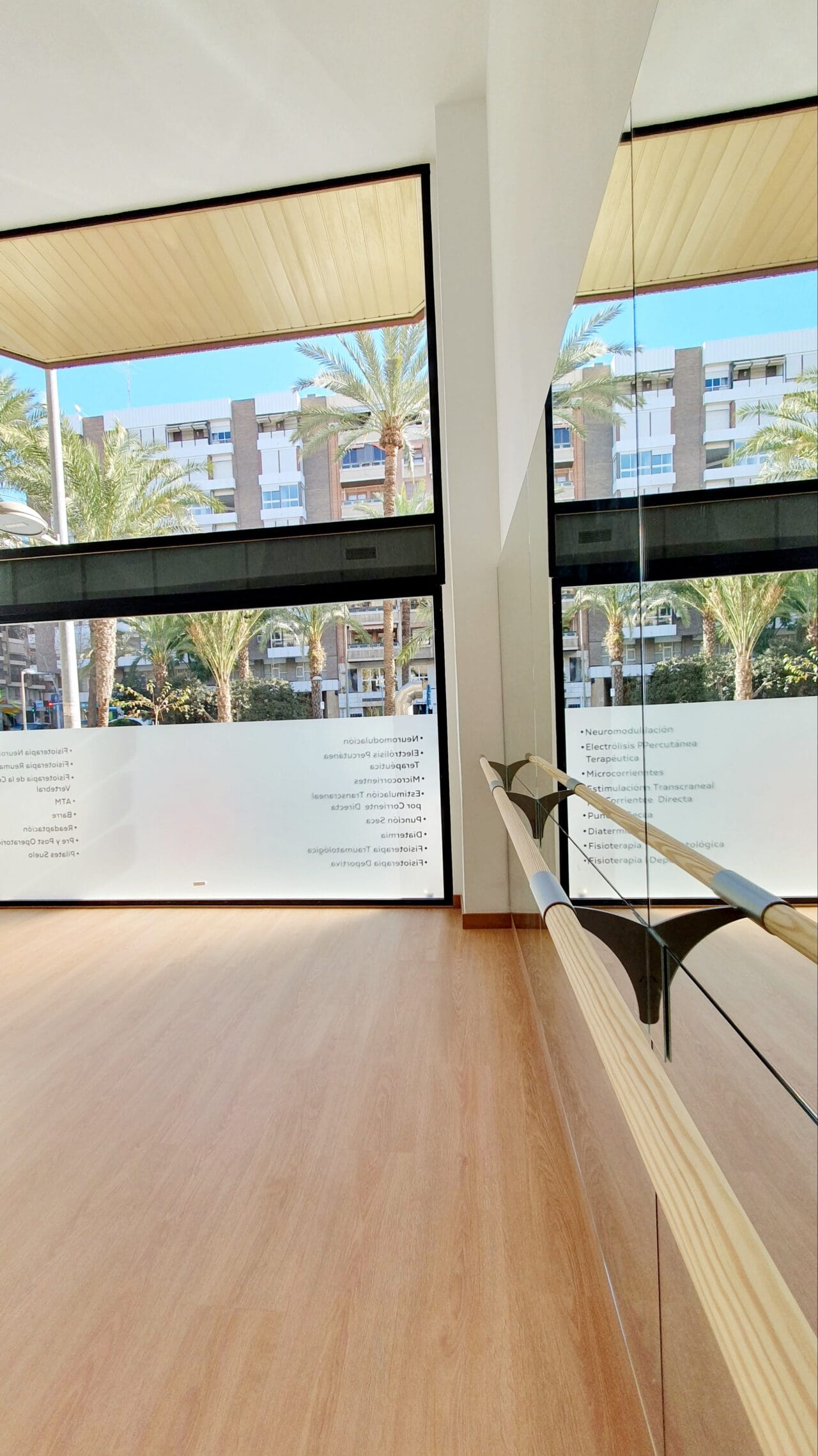 Proyectos secundarios archivos - Dinamica Ballet